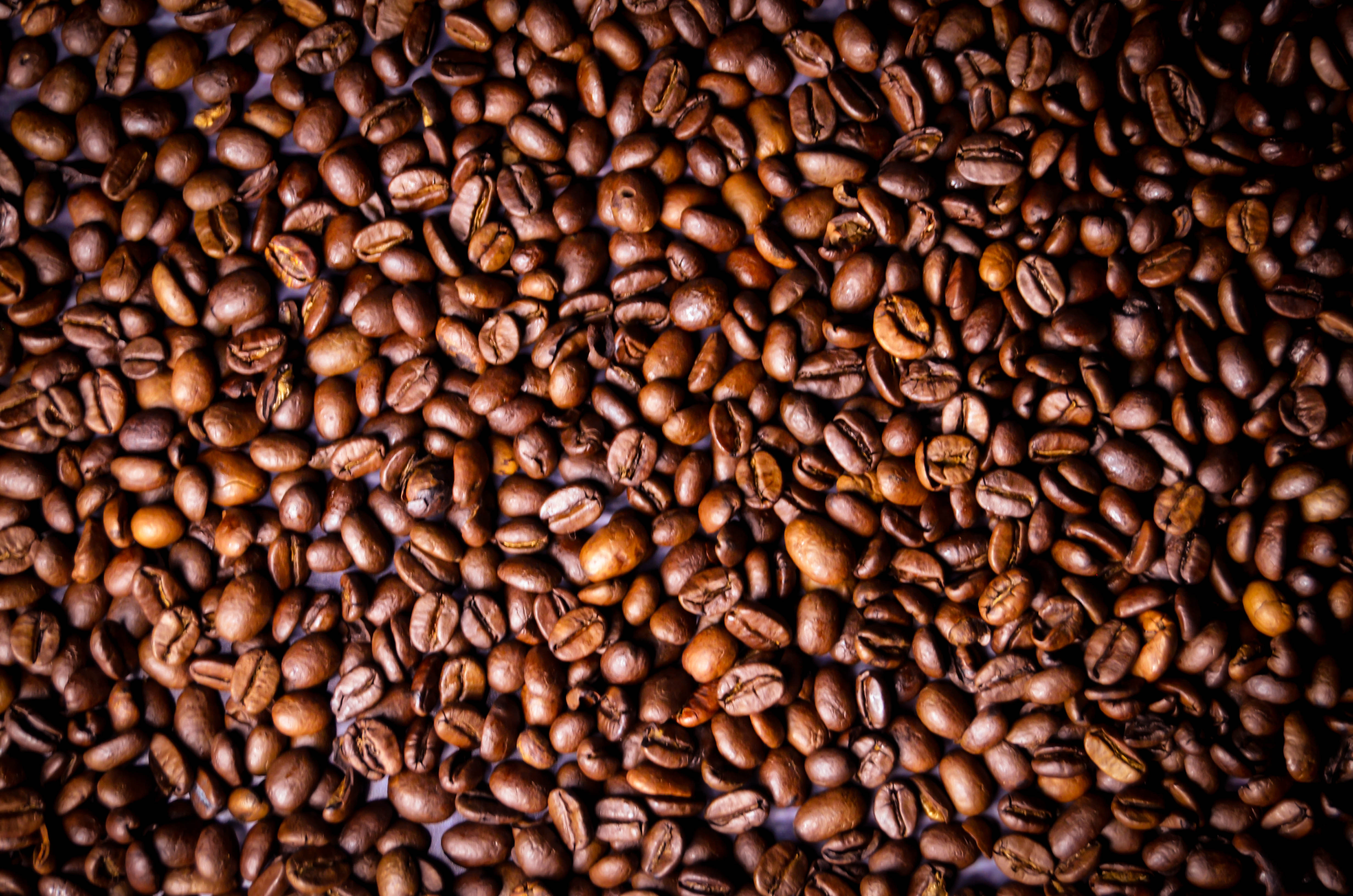 Daily Coffee Report - 06/12/2023