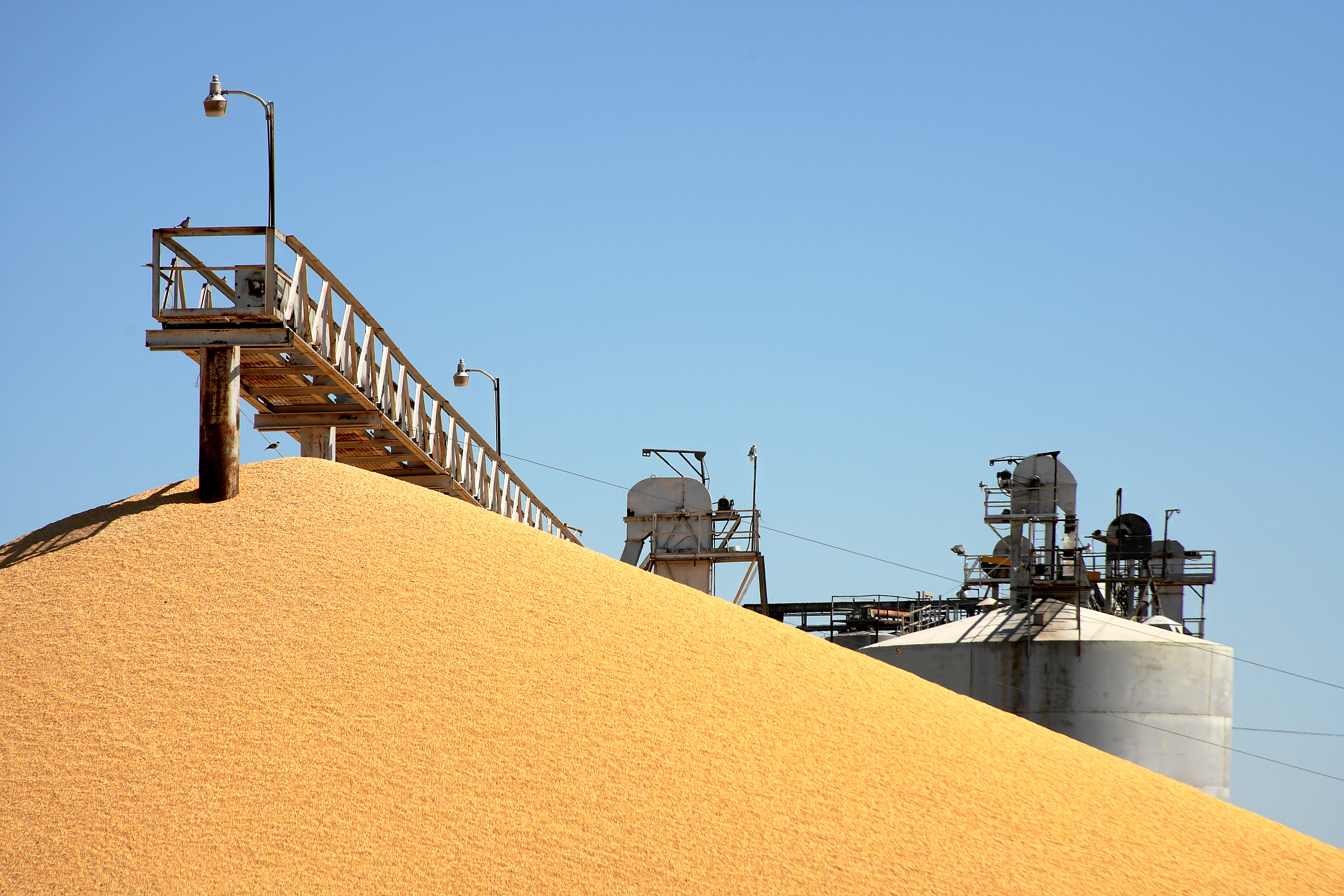 Bevan Everett Grain Recap Chinese Report 06032026
