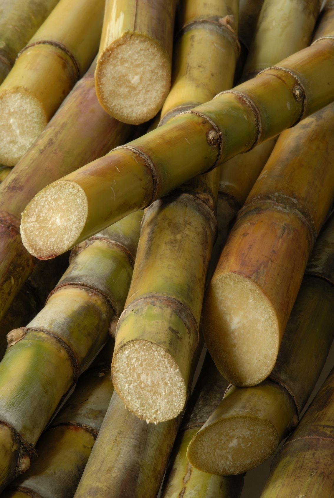 Brazil Sugar Vessel Lineup